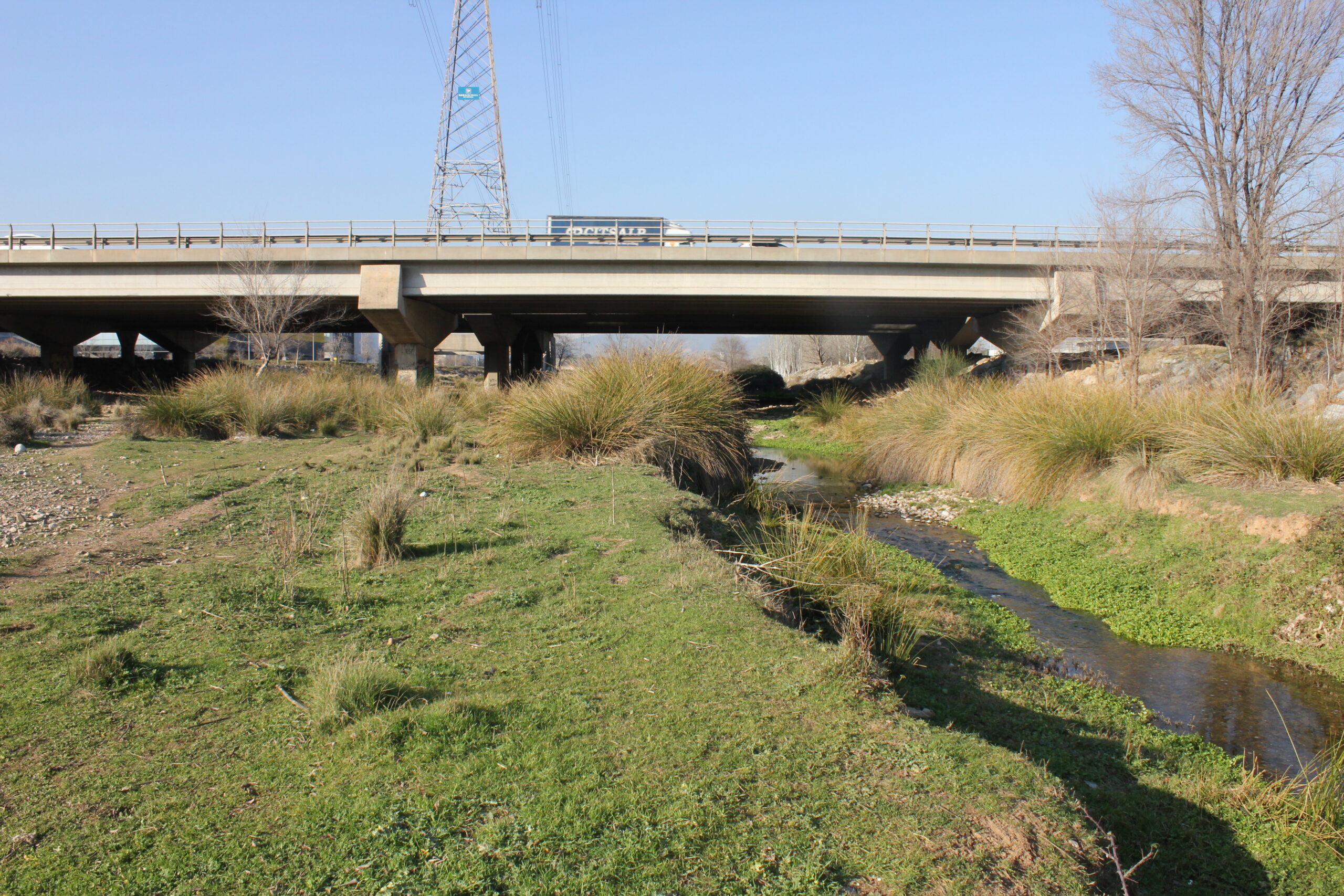 Restoration of ecological connectivity in tributaries of the final ...